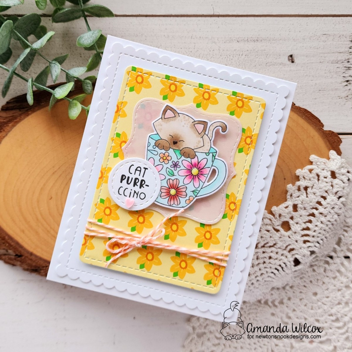 Newton’s Nook – Cat-purr-ccino
