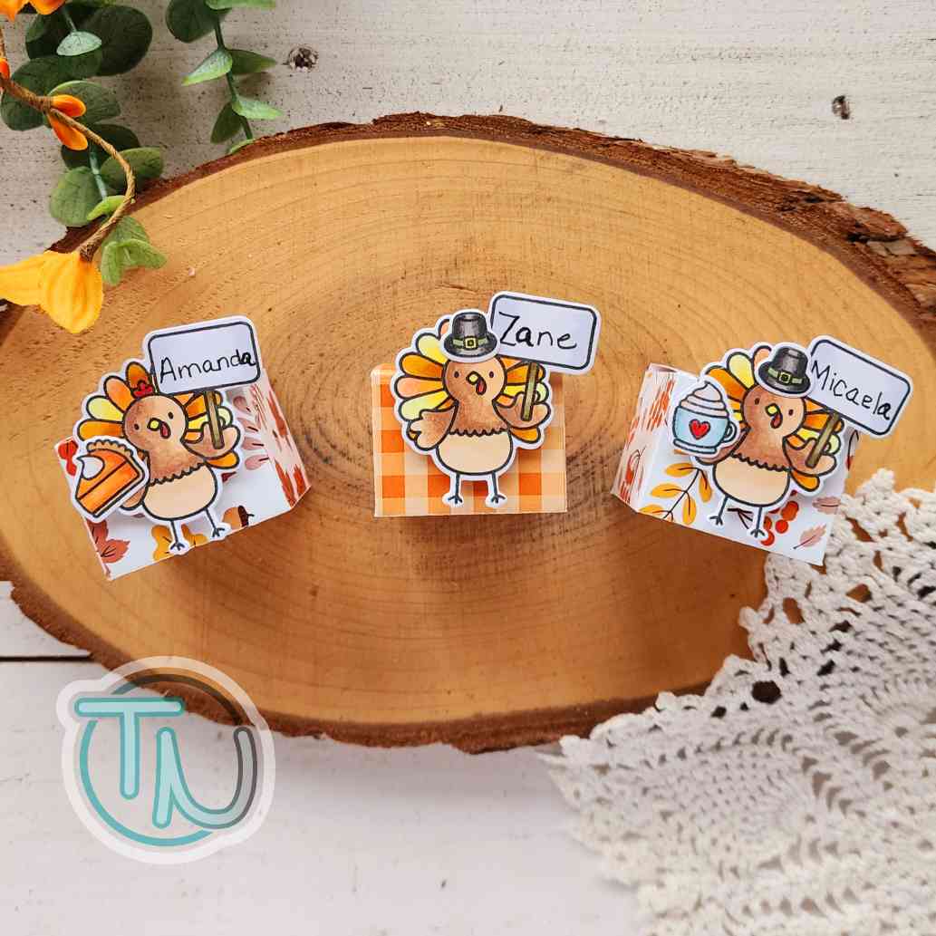 Sunny Studios – Turkey Treat Boxes