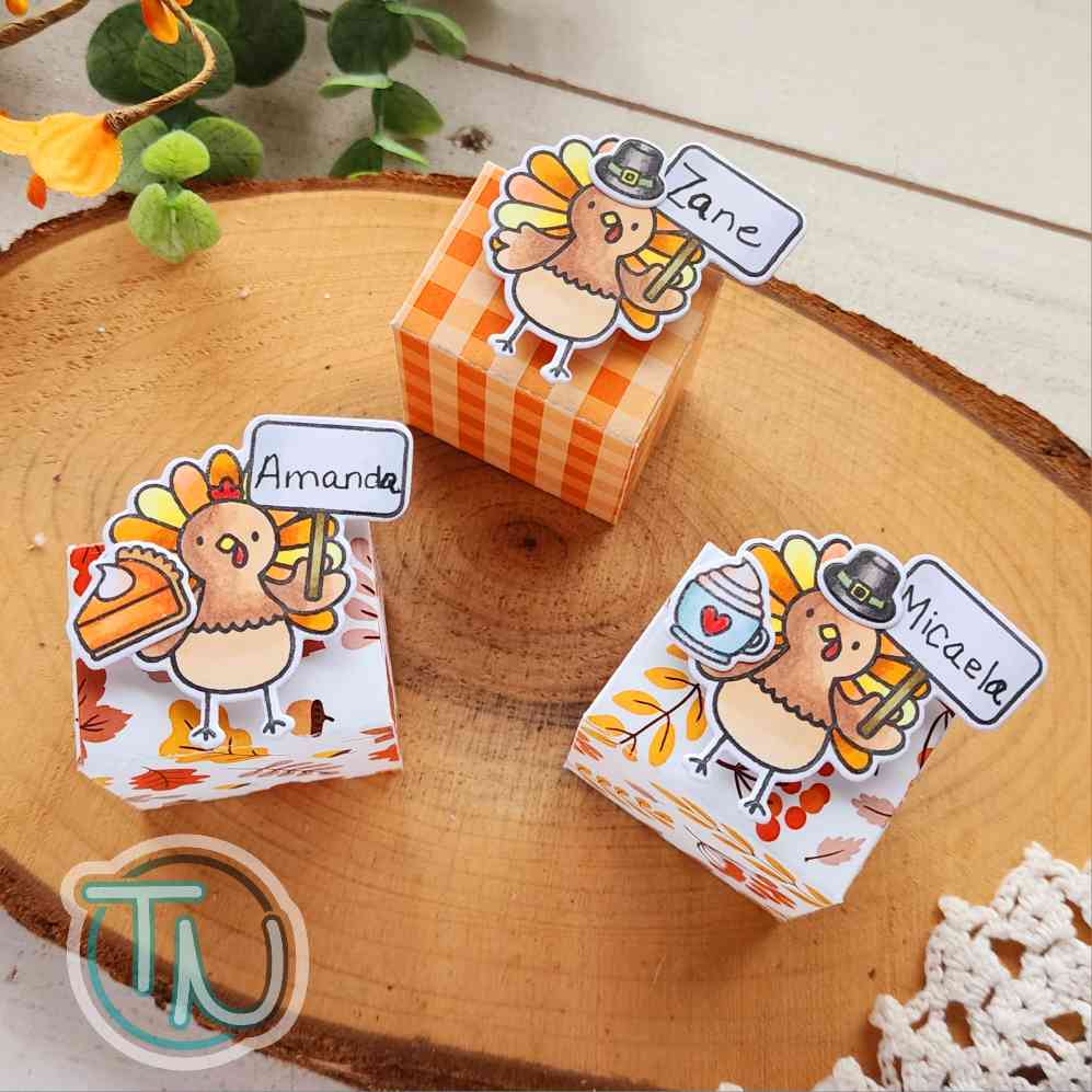 Sunny Studios – Turkey Treat Boxes