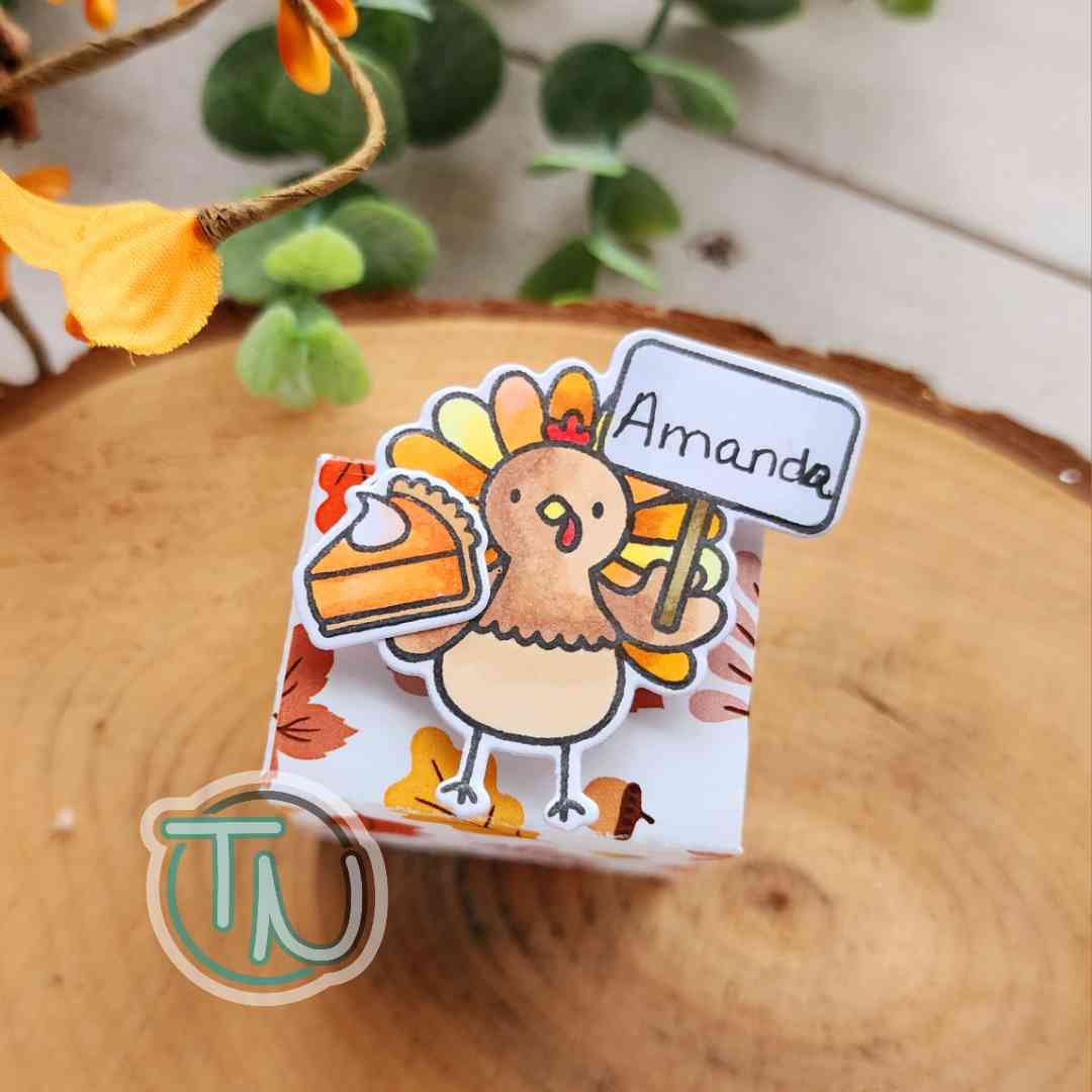Sunny Studios – Turkey Treat Boxes
